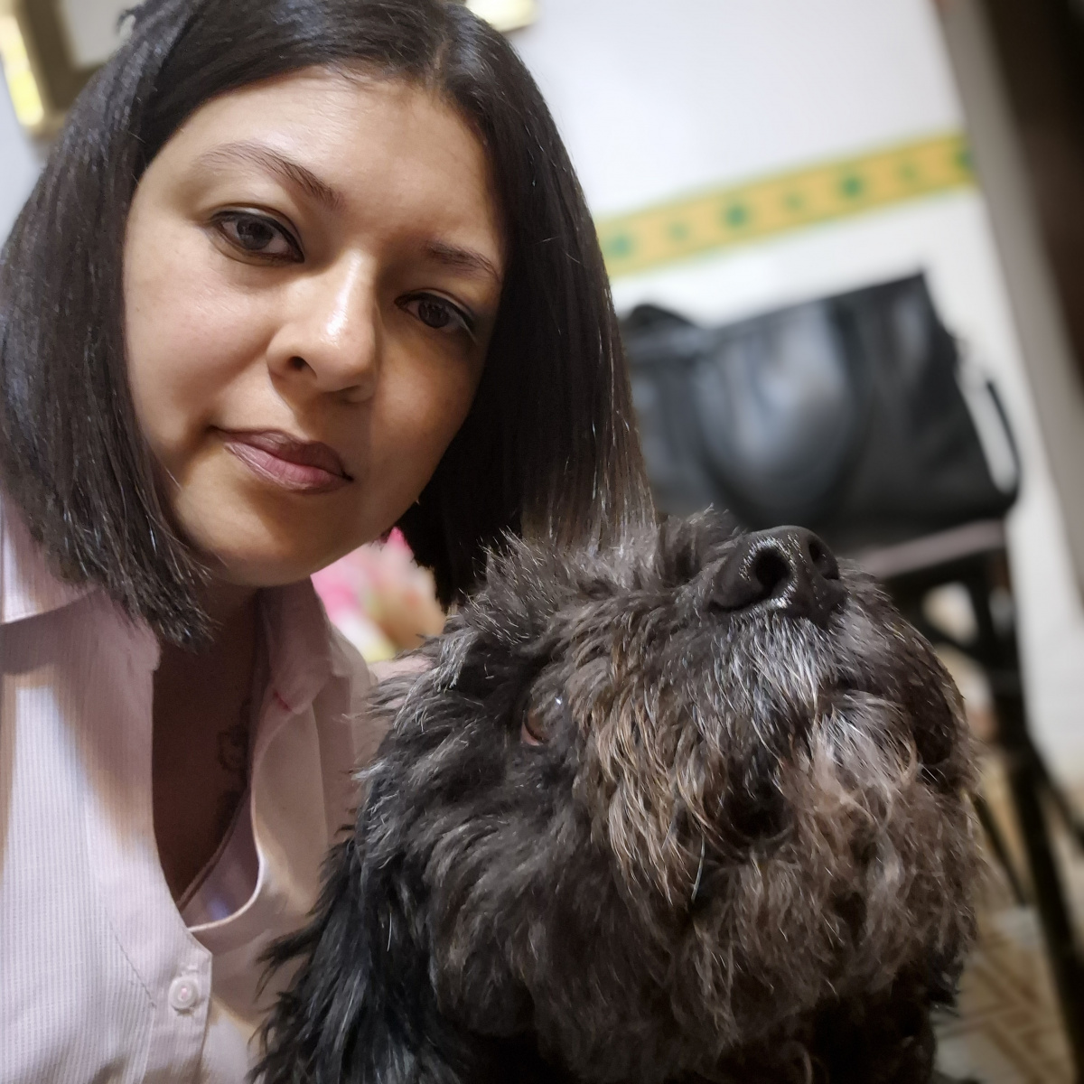 Valeria P. paseos y cuidado de perros en Xochimilco - PaseaPerros.com ...