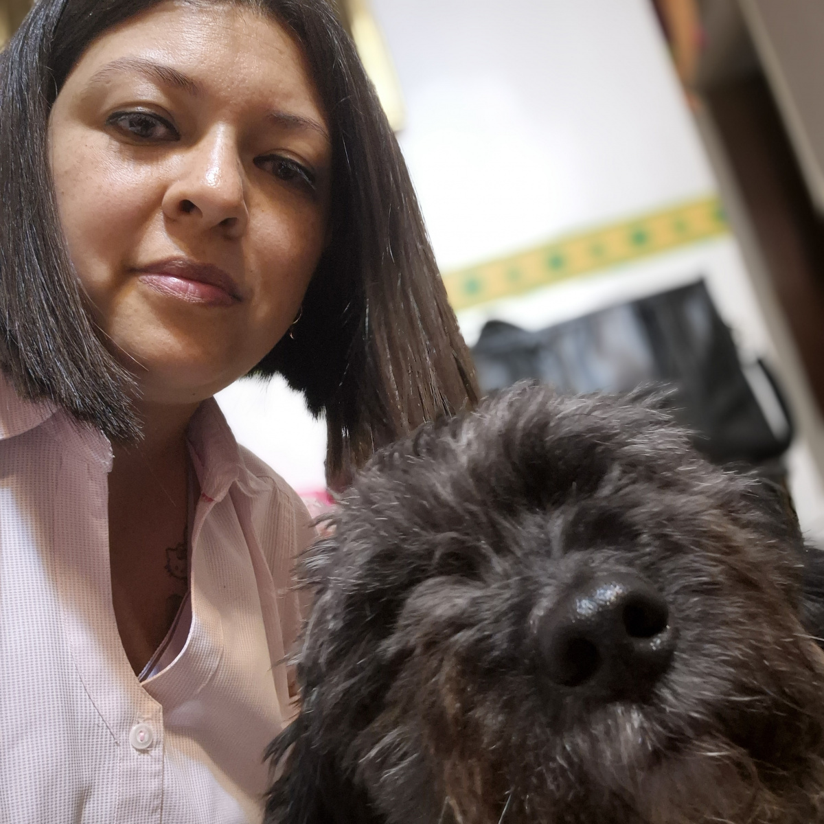 Valeria P. paseos y cuidado de perros en Xochimilco - PaseaPerros.com ...